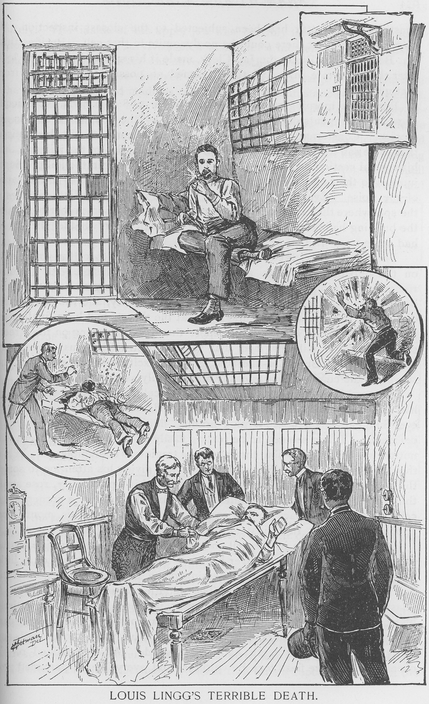 To a Trodden Pansy: Remembering Louis Lingg – Plain Words